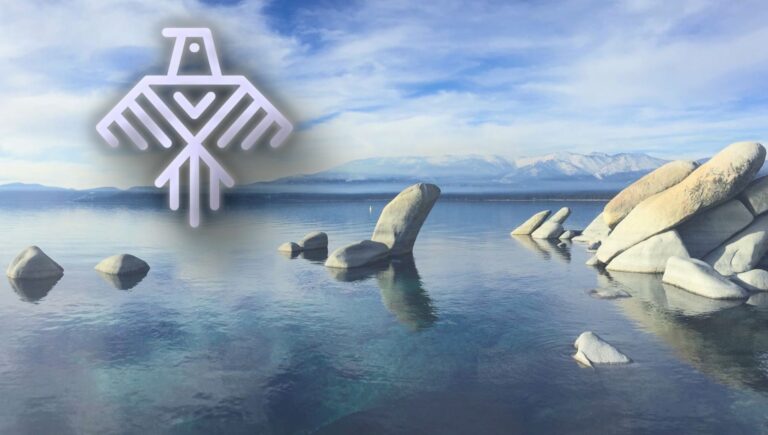 Er alle sten levende? Et vendepunkt i animisme-forskningen - Polifilo.dk